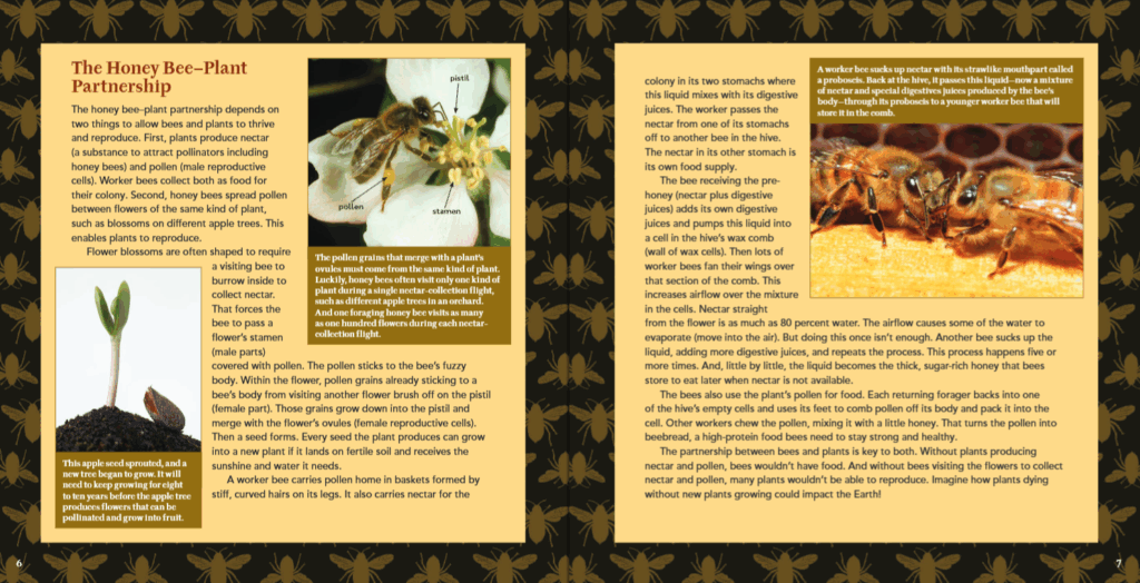 Call the Bee Doctor! – mundt agency